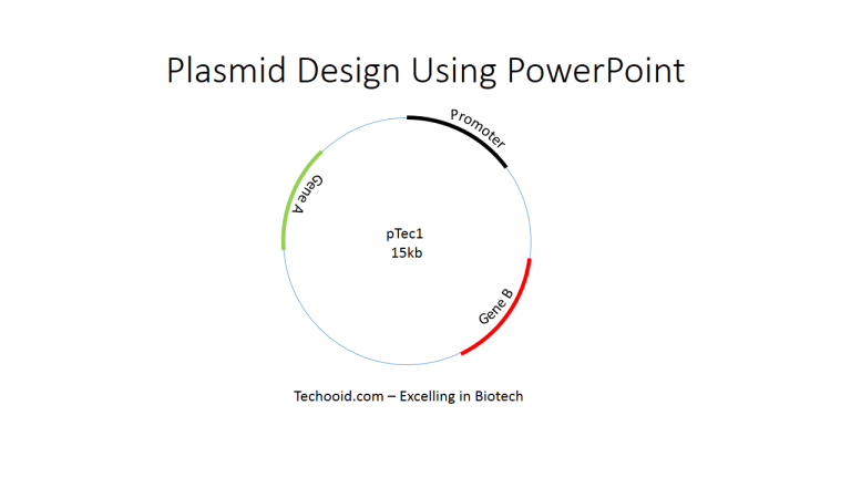 Plasmid Drawing using PowerPoint - Techooid.com